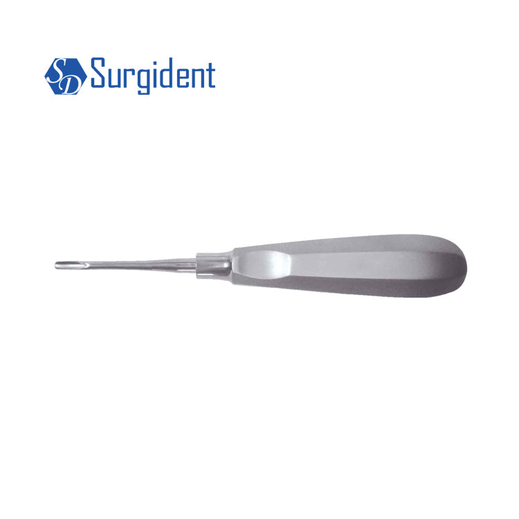 Dental Root elevator Oral Surgery Surgical Instrument 12 types – K ...